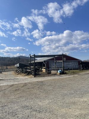 BAD FARM - Updated October 2025 - 86 Weider Rd, Kempton, Pennsylvania ...