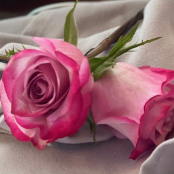 WINDROSE MARKER 26 LAKESIDE DINING - Updated December 2025 - 35 Photos ...