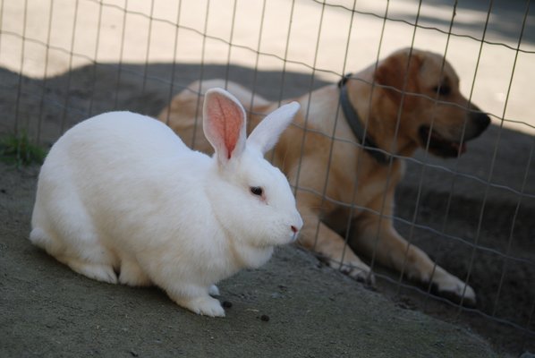 ZAJAC RANCH FOR CHILDREN - Updated December 2024 - 15600 Florence Lake ...