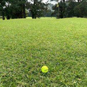 MIRIMICHI GOLF COURSE - Updated October 2025 - 24 Photos & 23 Reviews ...