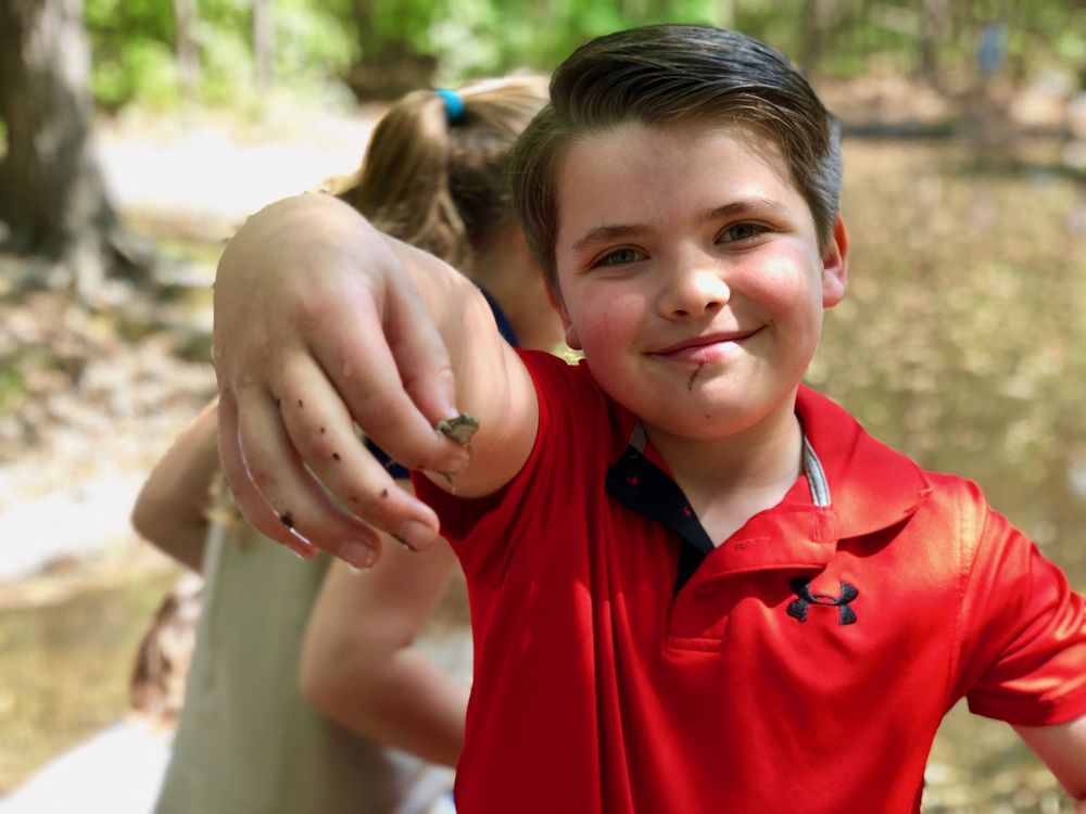 THE JEFFERSON SCHOOL - Updated May 2024 - 10 Photos - 22051 Wilson Rd ...