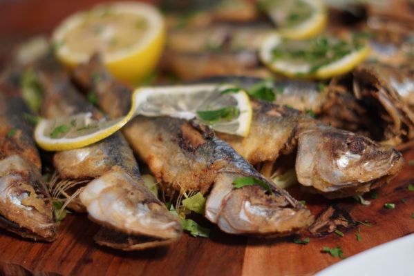 TURKISH MEDITERRANEAN CUISINE - Updated December 2025 - 180 Photos ...