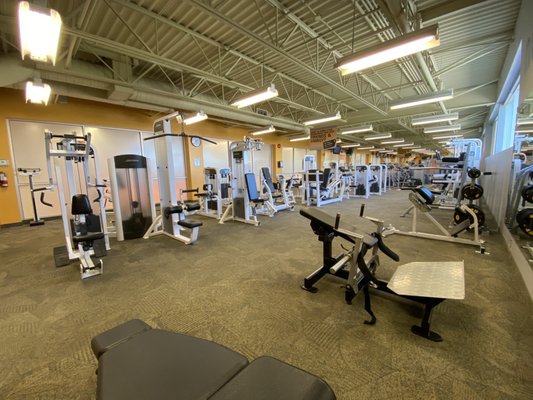 FIT4LESS - Updated December 2025 - 13 Photos - 4270 Innes Road South ...