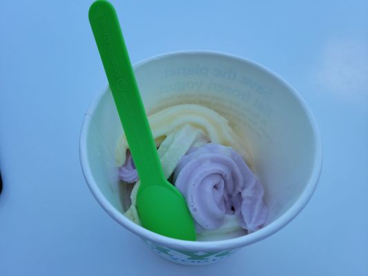 NUYO FROZEN YOGURT - Updated October 2025 - 114 Photos & 180 Reviews ...