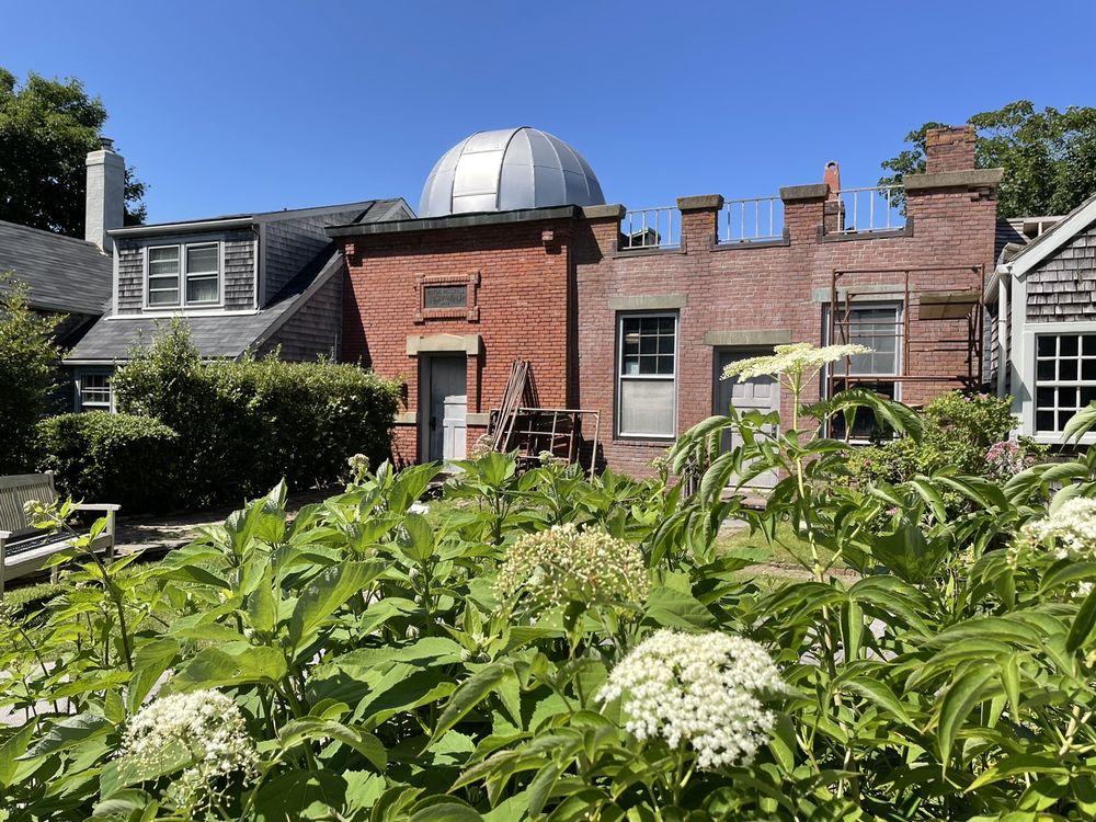 MARIA MITCHELL ASSN - Updated April 2024 - 11 Photos - 7 Milk St ...