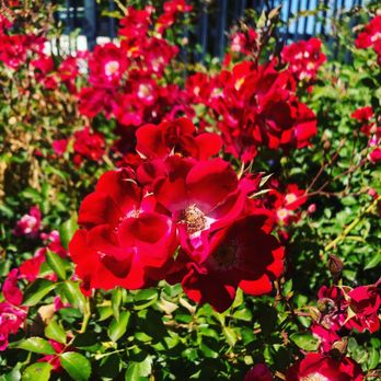 WEBER POINT EVENTS CENTER - Updated December 2025 - 17 Photos - 221 N ...