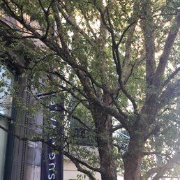 SUGARVALE - Updated August 2024 - 170 Photos & 156 Reviews - 4 W ...