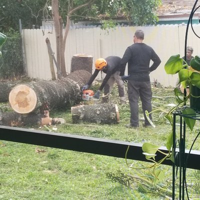 BIG RON’S TREE SERVICE - Updated December 2025 - 35 Reviews - 16221 SW ...