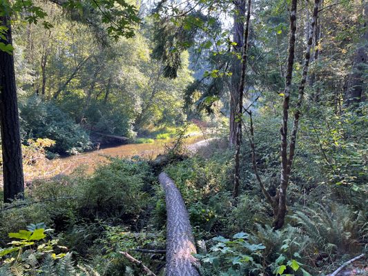 CHEHALIS WESTERN TRAIL - Updated August 2025 - 59 Photos & 10 Reviews ...