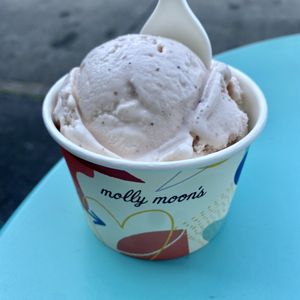 MOLLY MOON’S HOMEMADE ICE CREAM - 2191 Photos & 2199 Reviews - 917 E ...