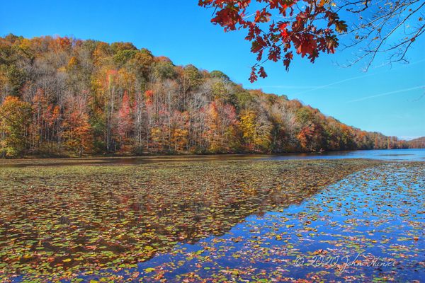 PLUM ORCHARD LAKE - Updated September 2024 - 20 Photos - 5009 Paint ...