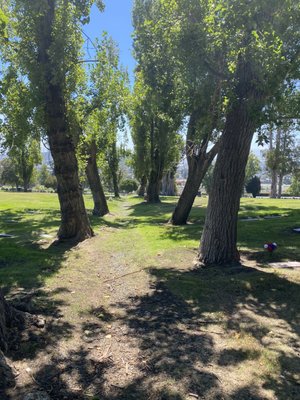 SUNSET VIEW CEMETERY AND MORTUARY - Updated September 2024 - 114 Photos ...