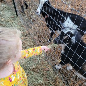 TRIPLE R RANCH - 25 Photos & 10 Reviews - 3531 Bunch Walnuts Rd ...