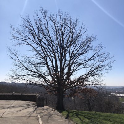 MOUNT STORM PARK - 35 Photos & 17 Reviews - 700 Lafayette Ave ...