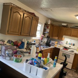 STANDARD EXTERMINATING COMPANY - Updated October 2025 - 11 Photos ...