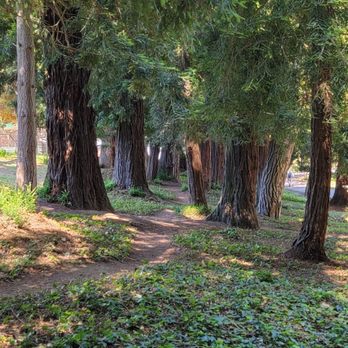 CODORNICES PARK - Updated November 2025 - 162 Photos & 160 Reviews ...