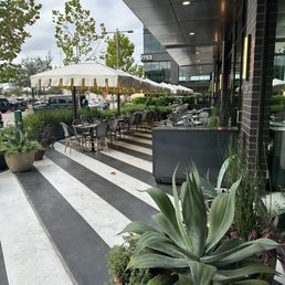 CREDENCE - Updated January 2025 - 260 Photos & 69 Reviews - 9757 Katy ...