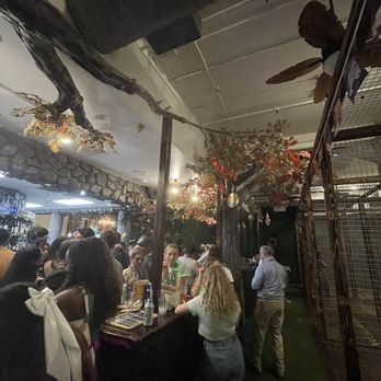 AXECADE - Updated December 2025 - 84 Photos & 53 Reviews - 2217 The ...