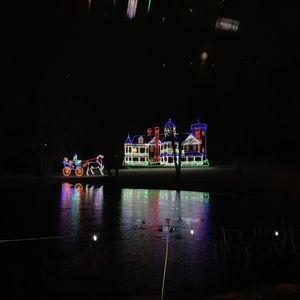 BRIGHT NIGHTS AT FOREST PARK - 107 Photos & 49 Reviews - 300 Sumner Ave ...