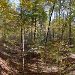 Best Scenic Views Near Me - July 2023: Find Nearby Scenic Views Reviews ...