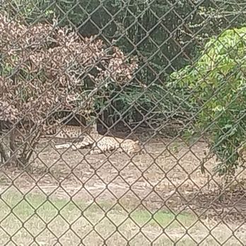 BATON ROUGE ZOO - Updated November 2025 - 412 Photos & 64 Reviews ...