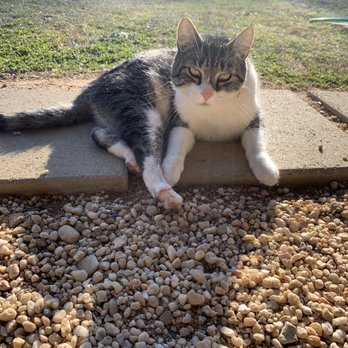 NATIVE VINES WINERY - Updated July 2025 - 47 Photos & 23 Reviews - 1336 ...