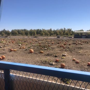 MESILLA VALLEY MAZE - Updated December 2025 - 40 Photos & 14 Reviews ...