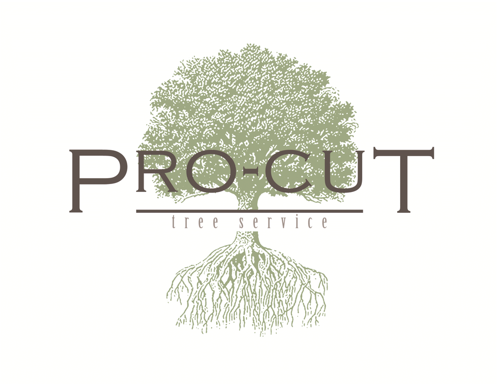 PRO CUT TREE SERVICE - Updated October 2025 - 11 Reviews - 720 158th ...