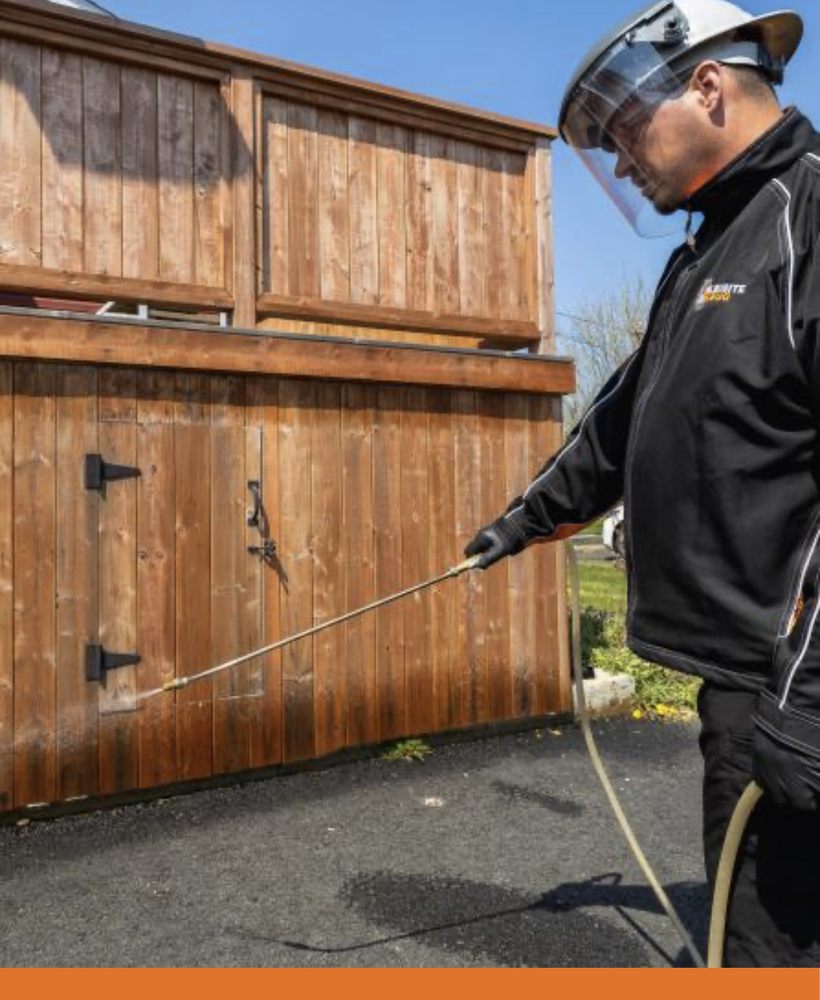 MISTER BUG - Updated July 2025 - Request a Quote - Bathurst, New ...