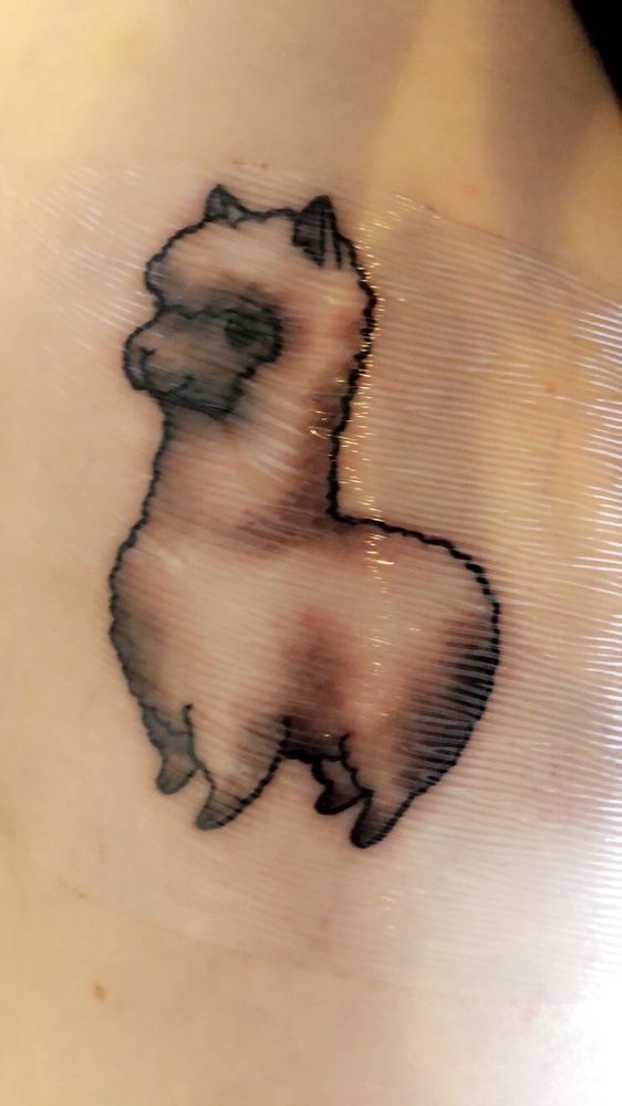 MATCHBOX TATTOO COMPANY - Updated June 2024 - 51 Photos - 707 - 1273 ...