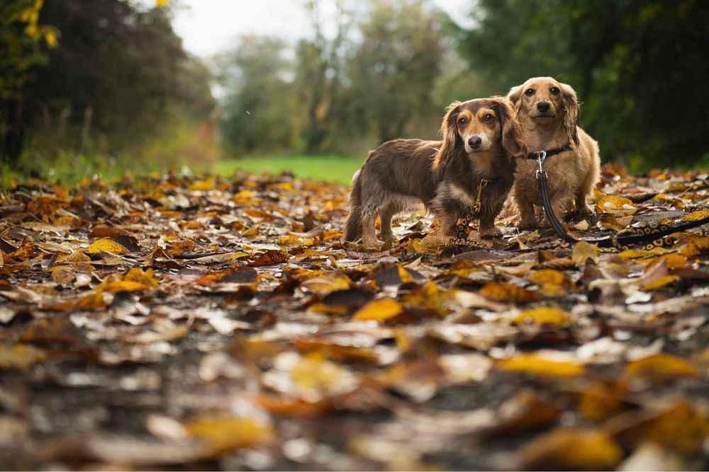 CLARK LAKE PARK - Updated January 2025 - 87 Photos & 34 Reviews - 12655 ...
