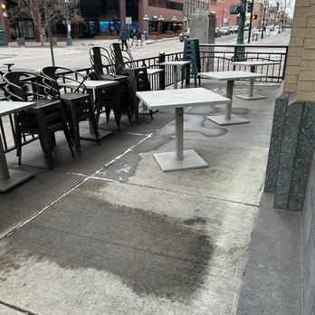 LITTLE FINCH - Updated September 2025 - 261 Photos & 122 Reviews - 1490 ...