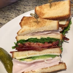 ATLANTIS PURPLE PARROT - Updated January 2025 - 462 Photos & 292 ...