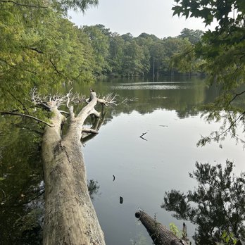 STUMPY LAKE NATURAL AREA - Updated October 2025 - 248 Photos & 20 ...