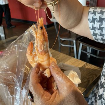 BAYOU CAT RESTAURANT - Updated January 2025 - 384 Photos & 399 Reviews ...