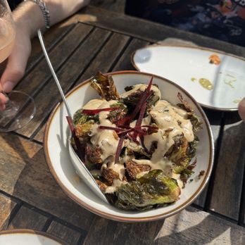 BACARI PDR - Updated May 2025 - 2405 Photos & 2417 Reviews - 6805 Vista ...