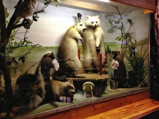 MOCCASIN BAR - Updated April 2025 - 47 Photos & 30 Reviews - 15820 US ...