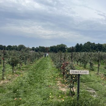 COUNTY LINE ORCHARD - Updated September 2024 - 519 Photos & 404 Reviews ...