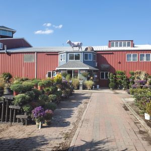 FASEL & SONS GARDEN CENTER - Updated December 2025 - 16 Photos & 51 ...