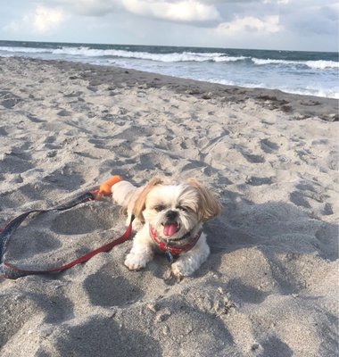 ROBERT P MURKSHE MEMORIAL PARK - Updated December 2025 - 15 Photos ...