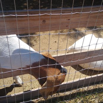 BIG JIM FARMS - Updated May 2026 - 95 Photos & 17 Reviews - 3521 Rio ...