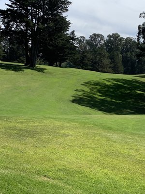 DELAVEAGA GOLF & GRILLE - 66 Photos & 95 Reviews - 401 Upper Park Rd ...