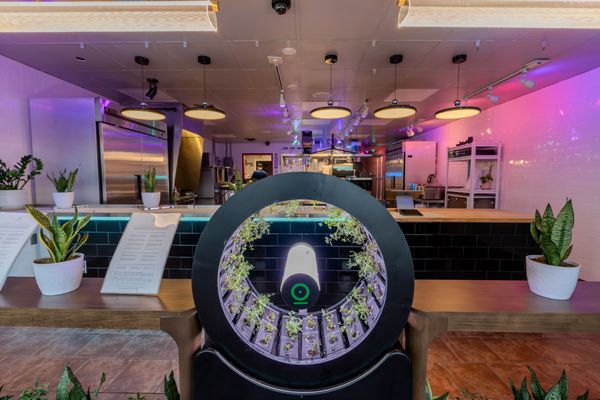 LIMINAL FOOD & BEVERAGE - Updated January 2026 - 11 Photos & 14 Reviews ...