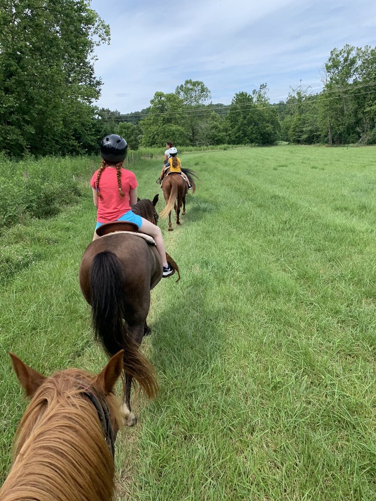 STAR B STABLES - Updated July 2024 - 18 Photos & 12 Reviews - 2926 ...