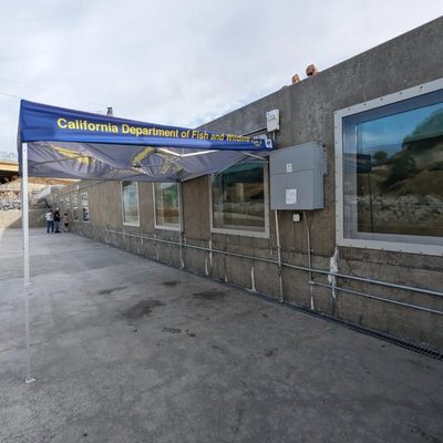 NIMBUS FISH HATCHERY - Updated May 2026 - 601 Photos & 122 Reviews ...