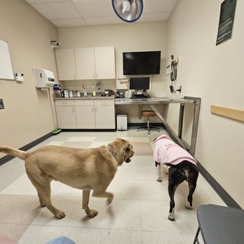 COLORADO STATE UNIVERSITY VETERINARY TEACHING HOSPITAL - Updated ...