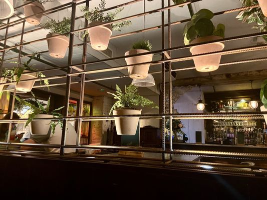 THE BOTANIST - Updated June 2025 - 37 Photos & 25 Reviews - 67 Boar ...