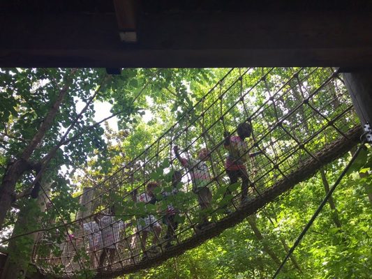 OAK TREE CAMPS - Updated December 2025 - 22 Eagle Row, Atlanta, Georgia ...