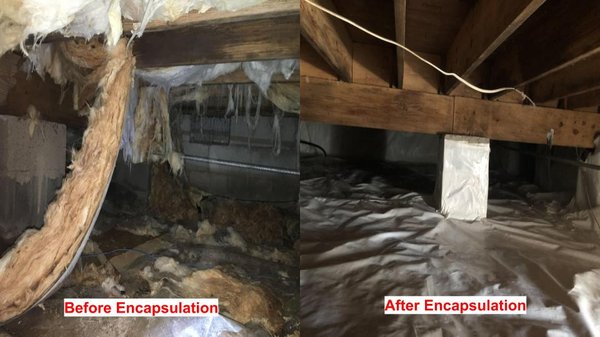 LANDLOCK PEST CONTROL - Updated December 2025 - 10 Photos & 28 Reviews ...