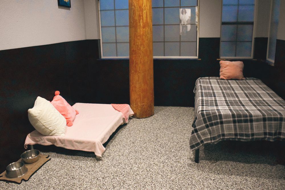 EVERY DOG’S DAY - Updated September 2025 - 139 Photos & 85 Reviews ...